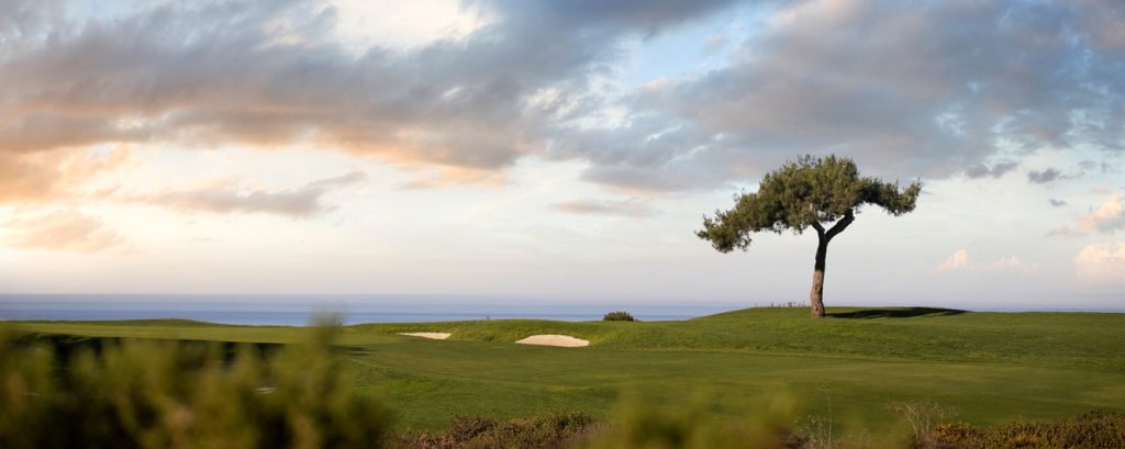 Donate – USGA Foundation